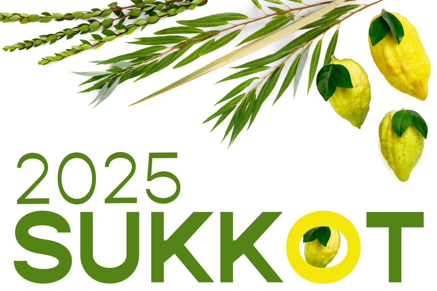 High Holy Days 5786 – 2025: WELCOME! | HHD Appeal | Festivals of Sukkot/Simchat Torah | Temple ...